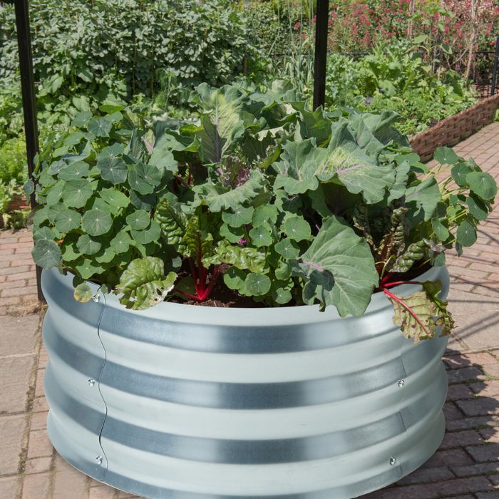 Jardinière surélevée Andrano acier galvanisé 61 x 31 cm argent ...
