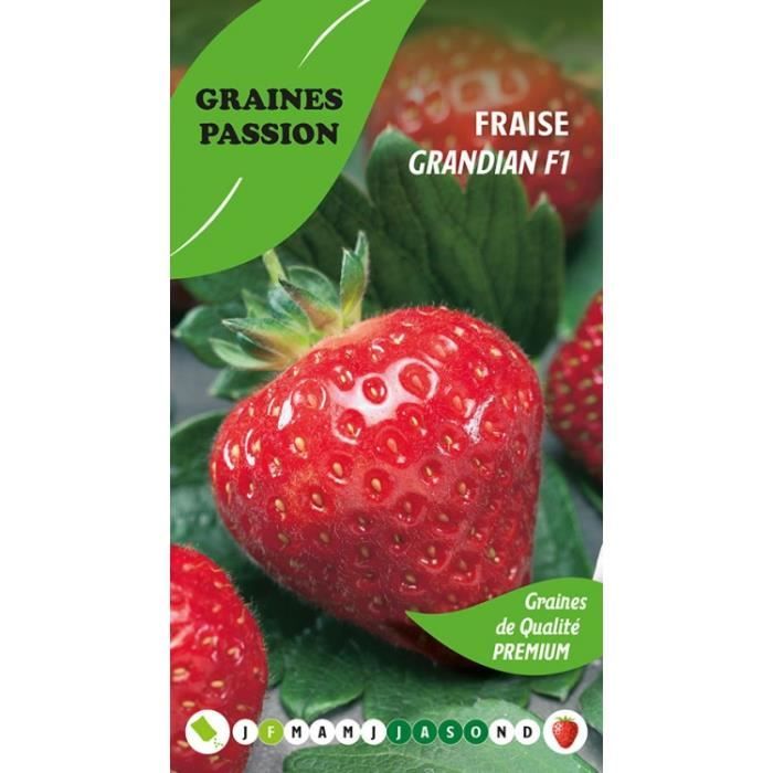 Mélange de graines - Graines passion - Fraise Grandian F1 - Sucrées ...