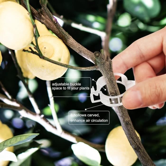 Lot de 100 clips pour plantes de jardin, clips de support pour plantes ...