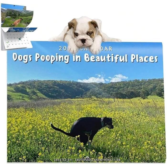 Calendrier Mural 2024 Pooping Dogs Pooping Dogs Pooping In Beautiful ...