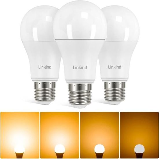 Ampoule Led E27 Dimmable, 13W Équivalent 100W, Blanc Chaud 2700K, 1521Lm, Ampoule Edison A60 ...