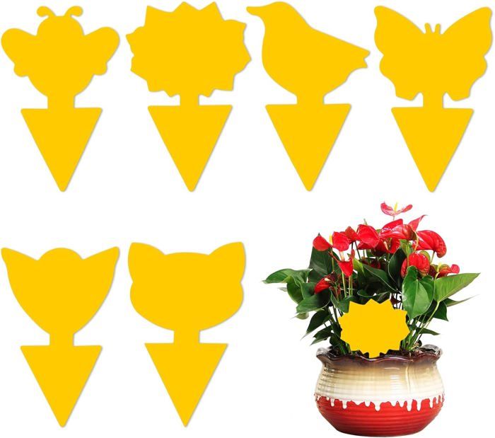 60 Pièces Anti Moucherons Interieur, Pièges À Insectes, Attrape ...