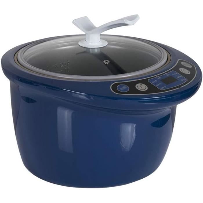 Yaourtière 6L Black Garlic Fermenter Grande Capacité Maison Diy Smart ...