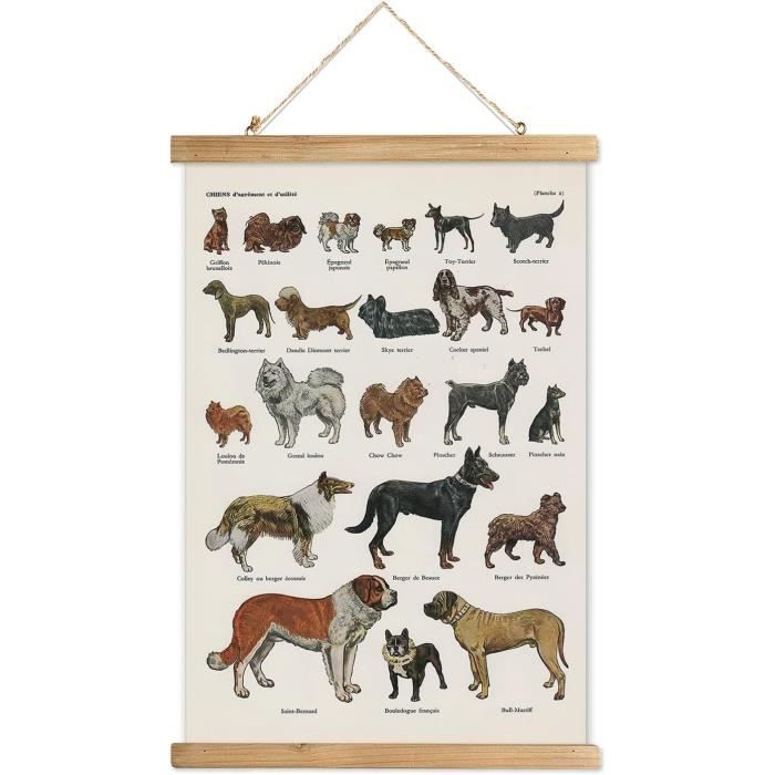 Poster Illustré De Races De Chiens Classiques \ Vintage Canine Variétés ...