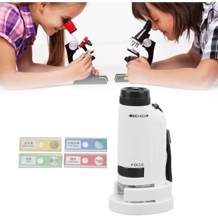 2211 Petit Microscope À Poignée Ronde Portable 60X À 120X Mini ...