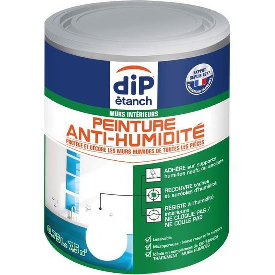 Peinture anti-humidité 0.75L - incolore - Cdiscount Bricolage