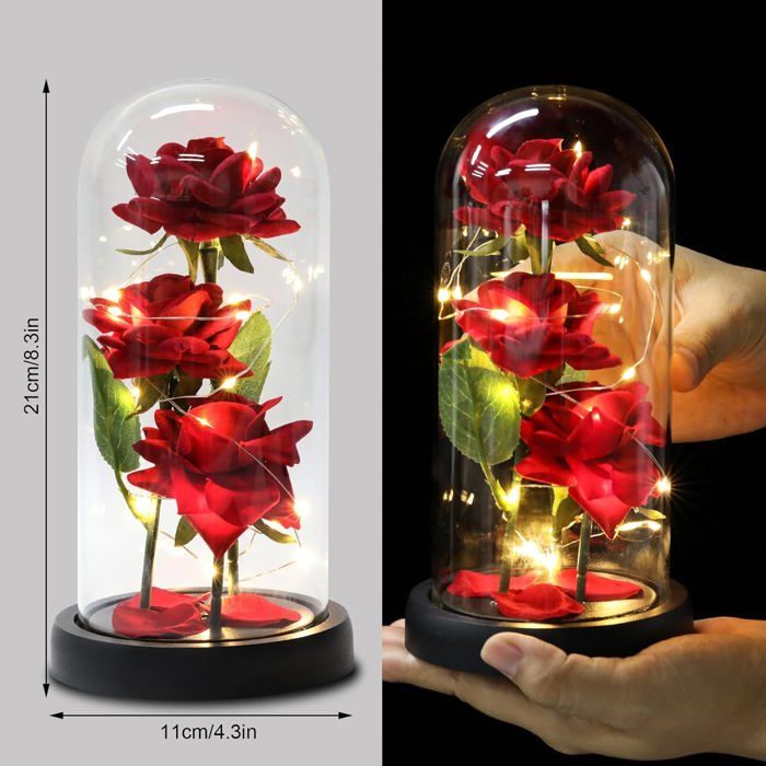 Rose Eternelle Sous Cloche Avec Led, Fleur Eternelle Sous Cloche, Rose ...