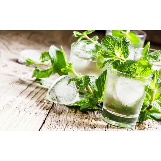 Décoration Murale - HXA DECO - Cocktail Virgin Mojito - Toile 80x50cm ...