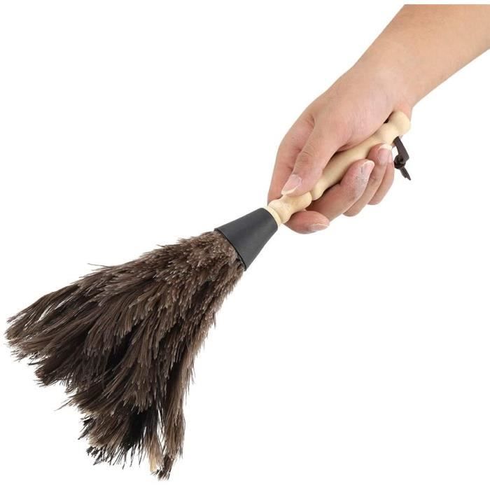Plumeaux de plumes, mini plumeau d'autruche réutilisable lavable pour ...