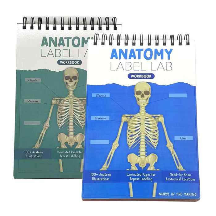 ANATOMY Label Lab Lab Workbook 100+ Interactive Anatomy Illustrations ...