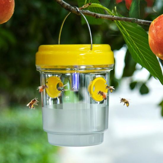 4 Pices Piege A Guepes Et Frelons Exterieur Suspendre Piege A Mouche ...