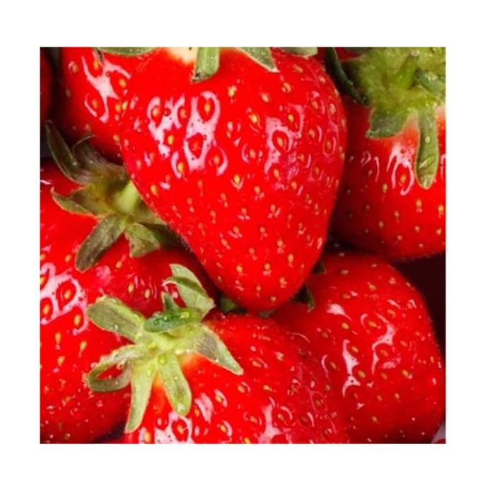 Graines de Fraises, 100 graines de Fraises Douces Maison Jardin Ferme ...
