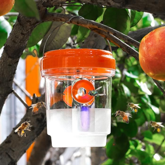 4 Pices Piege A Guepes Et Frelons Exterieur Suspendre Piege A Mouche ...