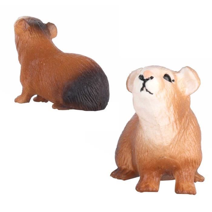 Modèle de cochon d'Inde hautement Simulation modèle Animal enfants ...