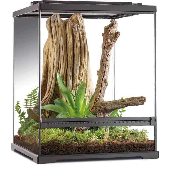 Exo Terra Terrarium grenouille 45x45x60cm - Cdiscount Animalerie