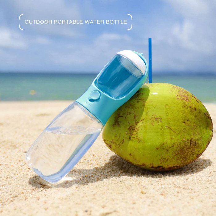 Bouteille D’Eau Portable Pour Chien Et Chat, Distributeur 300 ml Avec ...