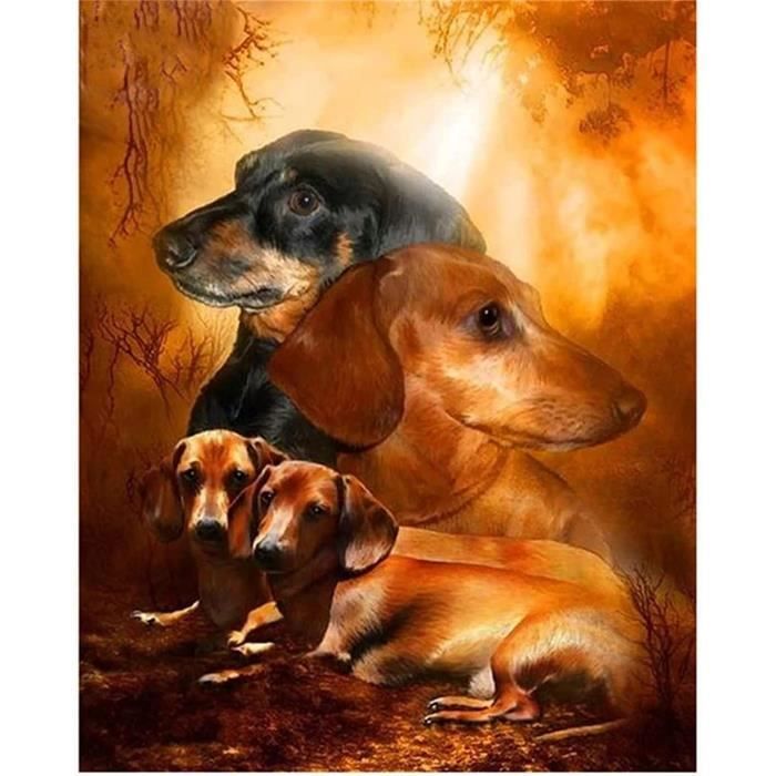 Diamond Painting Animaux Chien Teckel Broderie Diamant Painting Kit ...