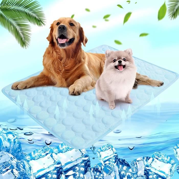 Tapis Rafraîchissant Chien Tapis Coussin Réfrigérant Chien Tapis Froid ...