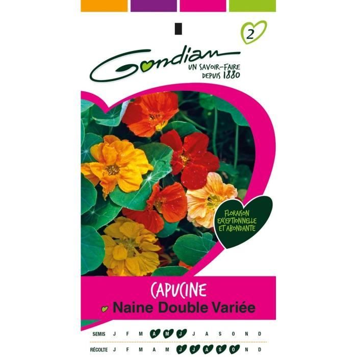 Semences - Capucine Naine Double Variee - CP 2, Multicolore, 1x8.1x16 ...
