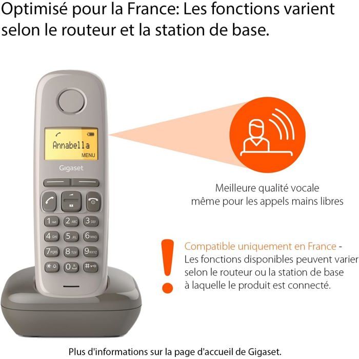FLEUVE-Telephone Fixe-A170 Solo-Téléphone DECT Taupe-Version Française ...