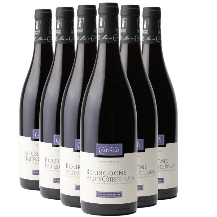 Bourgogne Hautes Côtes de Beaune Rouge 2021 - Lot de 6x75cl - Domaine ...