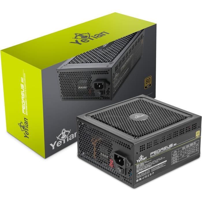 Pegasus 850W Alimentation Modulaire Pour Pc 80+ Gold | Pci-E Gen 5 ...