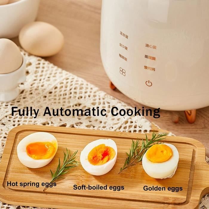 Oeuf Vapeur, Cuiseur À Œufs Électrique Multifonction Pour Œufs Pochés, Cuiseur À Œufs 400W Pour ...