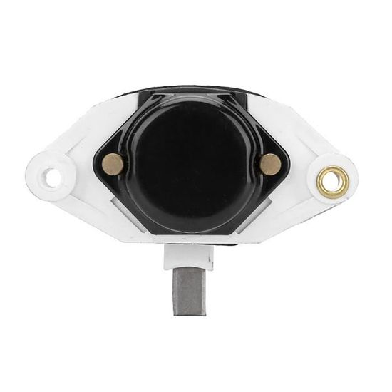 SURENHAP Régulateur d'alternateur Régulateur de Tension du Générateur ...