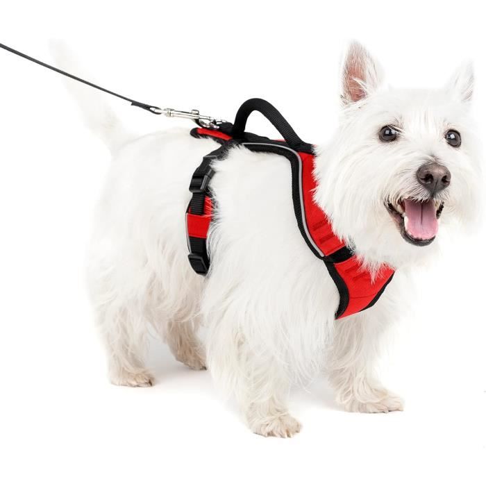 Harnais Pour Chien Easysport Avec Poignée De Contrôle, Réfléchissant, Ajustable Confortable ...