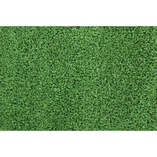 EXELGREEN Gazon synthétique Prems - 5 mm - 2,00 x 25,00 m - Cdiscount ...