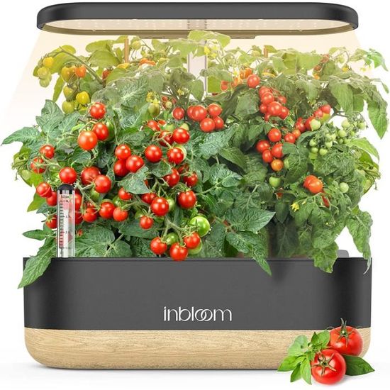Système de culture hydroponique 10 capsules, kit de jardin d'herbes ...