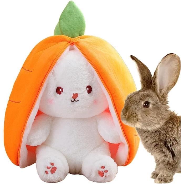 Cache-cache lapin en peluche - Lapins de Pâques pour décoration ...