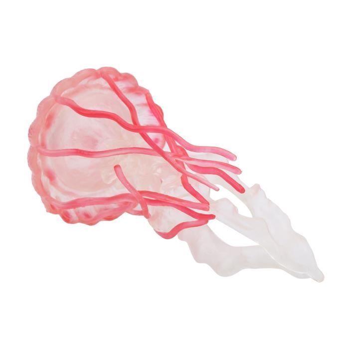 Jouet de méduse - VGEBY - Modèle éducatif - Animal de mer - Petit ...