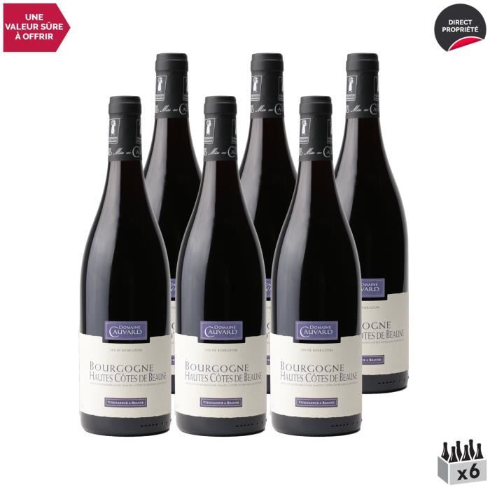 Bourgogne Hautes Côtes de Beaune Rouge 2019 - Lot de 6x75cl - Domaine ...