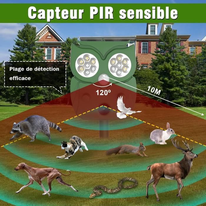 Repulsif Chat Ultrason 1 Pièces, Répulsif Chat Extérieur Solaire Sûr et ...