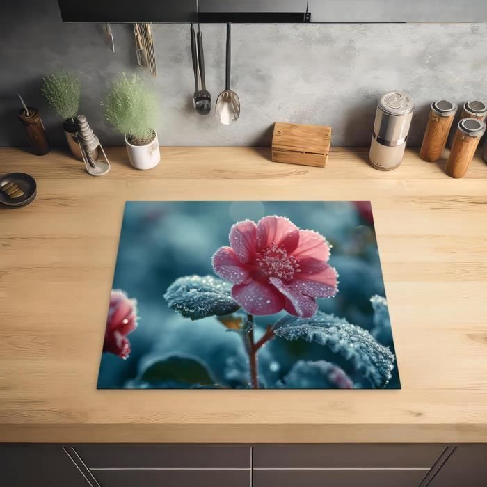 Ehskzjh © Protection Plaque Cuisson Deco Cuisine Cache Induction 59X52 ...