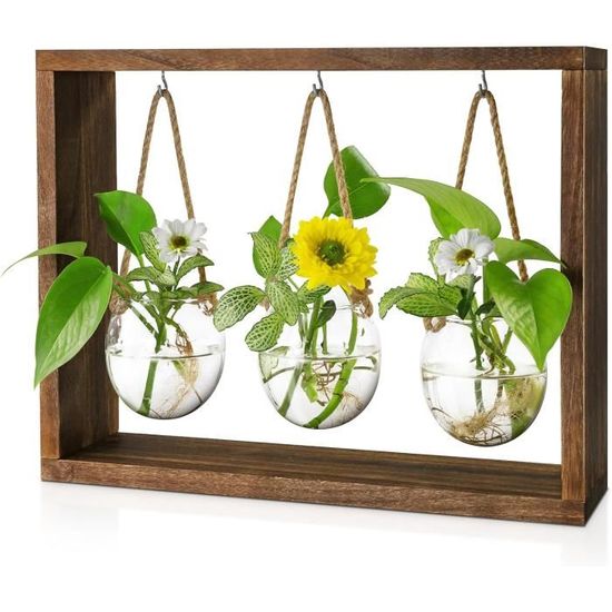 Terrarium En Verre Pour Plantes Hydroponiques, Terrarium De Bureau Pour ...