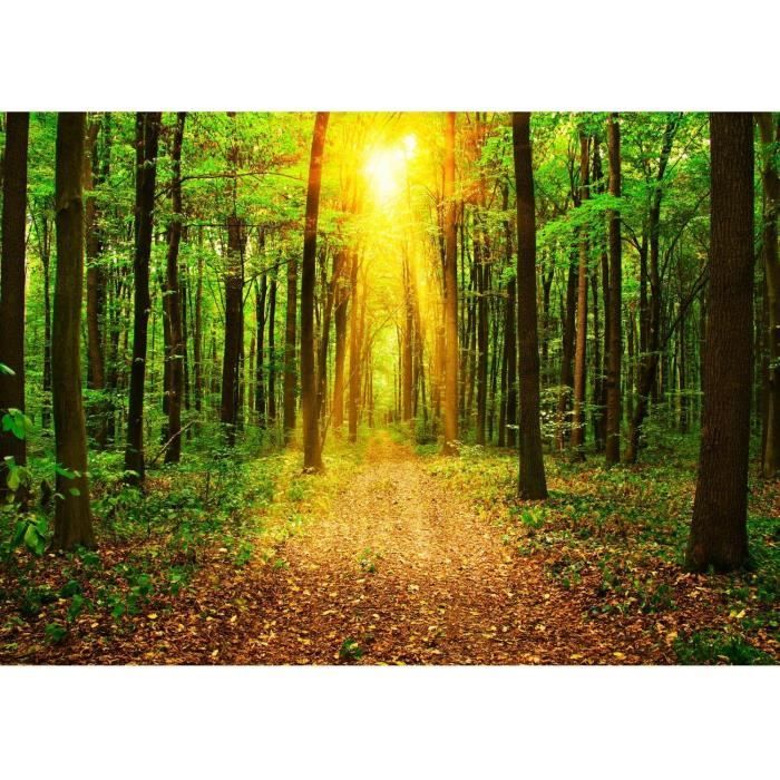 Papier Peint Intissé Mural Soleil Forêt Moderne Toison Salon Chambre À ...