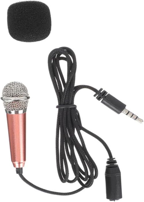 1 Ensemble Mini Microphone Microphone Portable Enregistrement ...