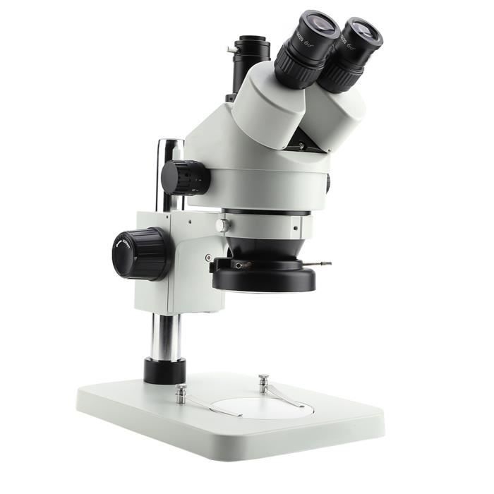 VBESTLIFE microscope trinoculaire Microscope à zoom stéréo à ...