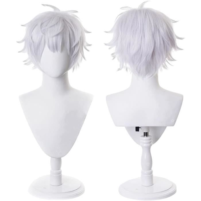 Gojo Satoru Cosplay Perruques Anime Gojo Court Cheveux Synthétiques ...