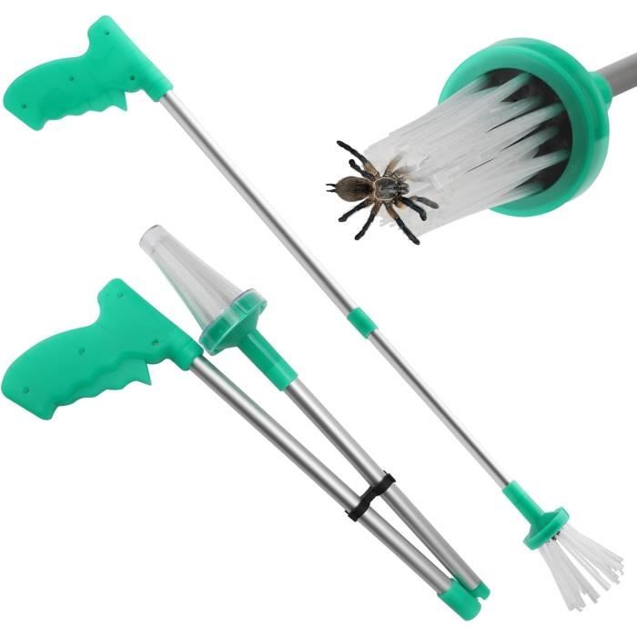 Attrape araignée,Attrape Insecte Attrape Insectes Vivants Attrape ...