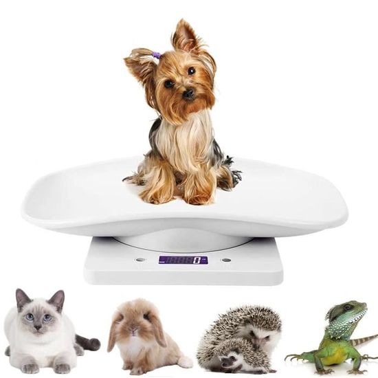 Balance Numérique Pour Animaux Avec Écran Lcd,10Kg-1G Mini Balance Avec ...
