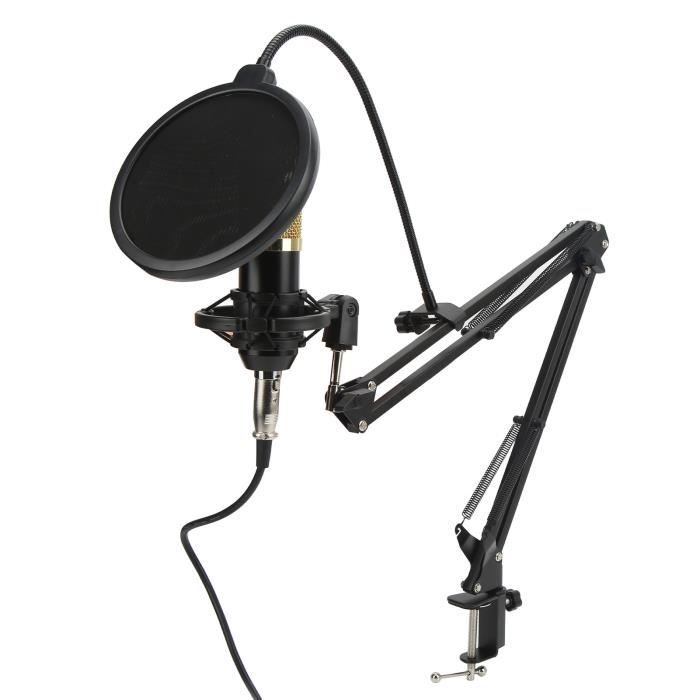 Kit De Microphone De Studio Ensemble De Cartes Son Pour Microphone À ...