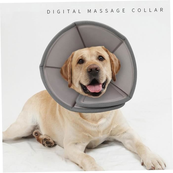 Collerette Chien Anti Lechage RéGlable Confortable Collerette Chien ...