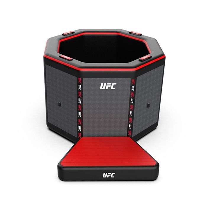 Netspa UFC Octogone IceBath NetSpa - Cdiscount Jardin