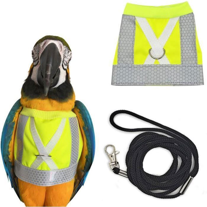 Gilet de Harnais de Vol pour Oiseaux,Combinaison de Vol Réfléchissante ...
