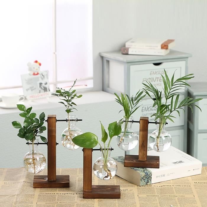 Simple - Jardinière en verre et bois pour terrarium, pot de fleurs ...