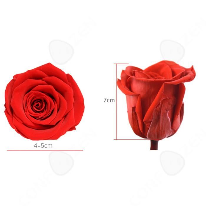 CONFO® Fleur stabilisée 6-7cm 4 cadeau de fleur de tête de rose, cadeau ...
