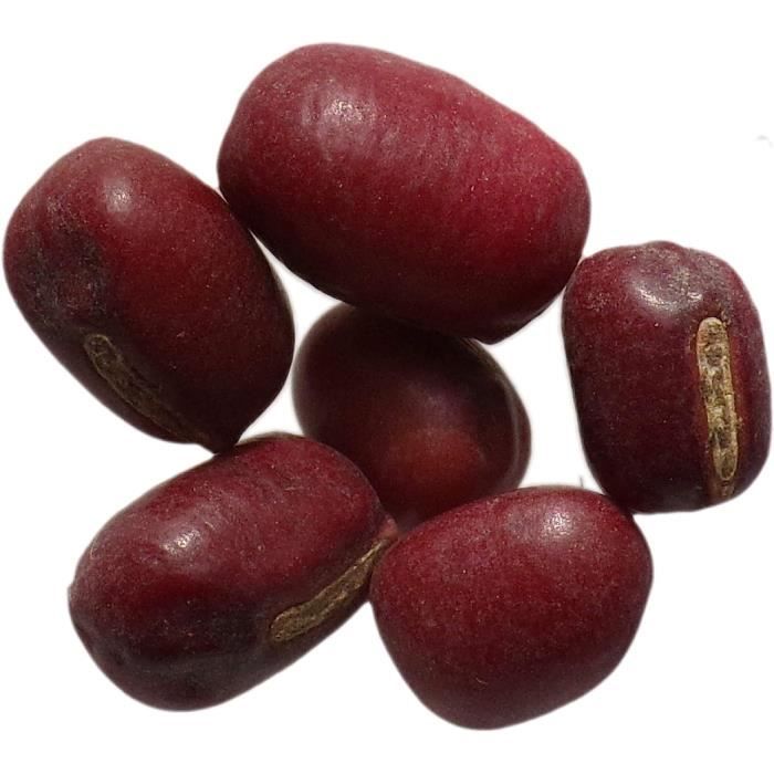 Haricot Azuki Rouge AB (Soja) - 5 grammes - Vigna Angularis - Adzuki ...